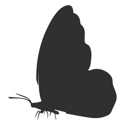 Butterfly Side View Vector Images (over 330)