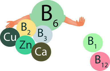 Compatibility table vitamins and minerals Vector Image