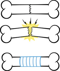 Cartoon doctor Royalty Free Vector Image - VectorStock