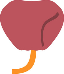 Prostate gland in male human Royalty Free Vector Image