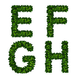 Alphabet kids efgh Royalty Free Vector Image - VectorStock