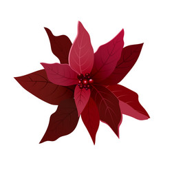 Poinsettia Royalty Free Vector Image - VectorStock