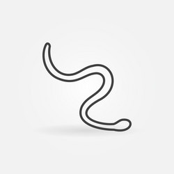 Roundworm Drawing