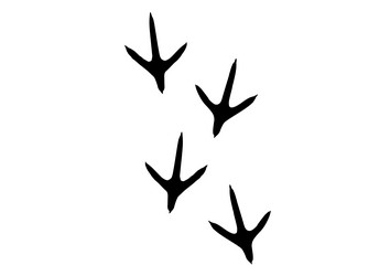 Chicken Feet Vector Images (over 550)