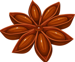 Star Anise Vector Images (over 3,000)