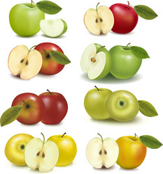 Various apples collection 1 Royalty Free Vector Image
