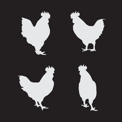 Female Chicken Vector Images (over 3,100)
