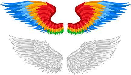 Colorful wings of different flying creature Vector Image