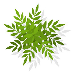 Shrubs Plan View Vector Images (86)