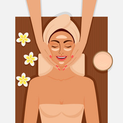 Woman getting facial mask spa Royalty Free Vector Image