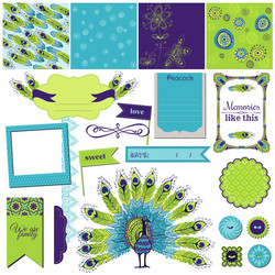 Frame with peacock feathers Royalty Free Vector Image