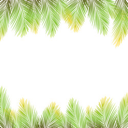 Border palms branches on isolated on white Vector Image