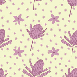 Yellow Wattle Vector Images (over 130)