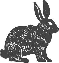 Rabbit diagram for butcher shop meat Royalty Free Vector