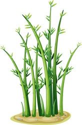 Bamboo Cartoon Vector Images (over 12,000)