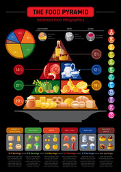 Food pyramid infographics Royalty Free Vector Image