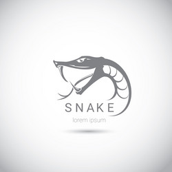 Snake simple logo design element Royalty Free Vector Image