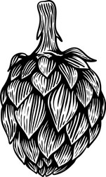 Hop Flower Vector Images (over 2,000)