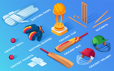 Cricket wicket icon simple style Royalty Free Vector Image