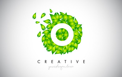 O leaf logo letter design with green outline Vector Image