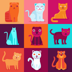 Cat breeds icon set flat style isolated on white Vector Image