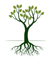 Green spring tree outline Royalty Free Vector Image