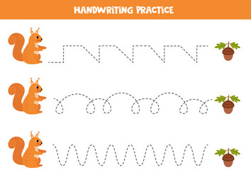 Tracing lines for kids cartoon cute squirrel Vector Image