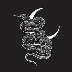 Serpent over the crescent moon line art Royalty Free Vector