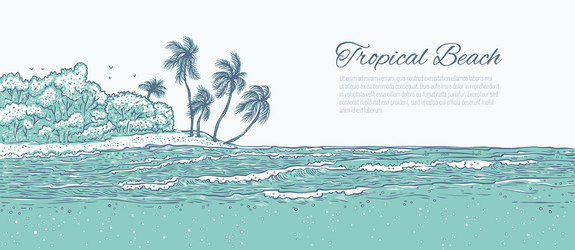 Beach with tropical palm Royalty Free Vector Image