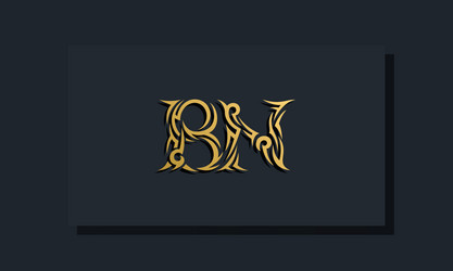 Decorative vintage initial letters bn monogram Vector Image