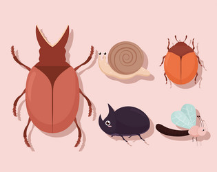 Weevil Vector Images (over 220)