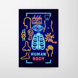 Body Systems Vector Images (over 39,000)