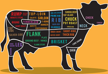 Cow Infographic Vector Images (over 1,600)