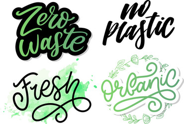 Eco washing lettering logo eco washing logo Vector Image