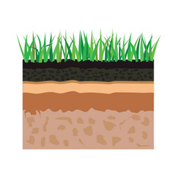 Soil layers diagram with green grass and useful Vector Image
