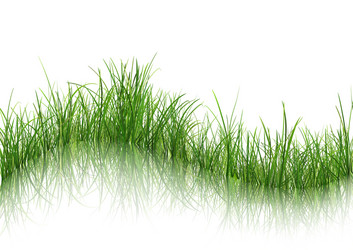 Water Grass Vector Images (over 39,000)