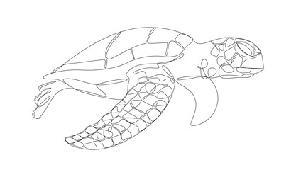 Black and white isolated sea turtle Royalty Free Vector