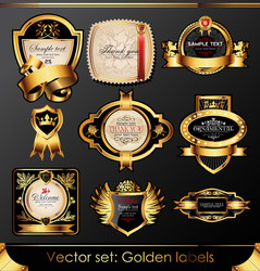 Set black gold-framed labels Royalty Free Vector Image