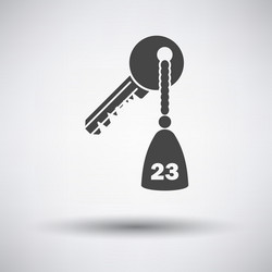 Hotel room key with trinket or tassel isolated Vector Image