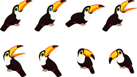 Cartoon a happy pointing parrot bird Royalty Free Vector