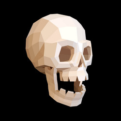Polygonal skull 3d low poly design with violet Vector Image