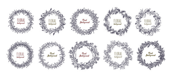 Round decorative floral frames line sketch Vector Image