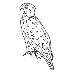 Talon Vector Images (over 5,000)