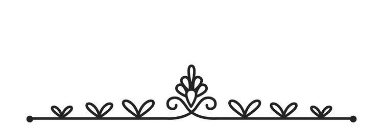 Fancy Horizontal Line