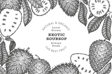 Soursop set Royalty Free Vector Image - VectorStock