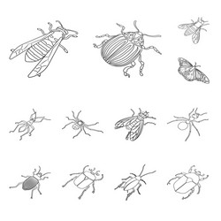Entomology Vector Images (over 9,300)