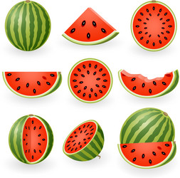 Watermelon Vector Images (over 77,000)
