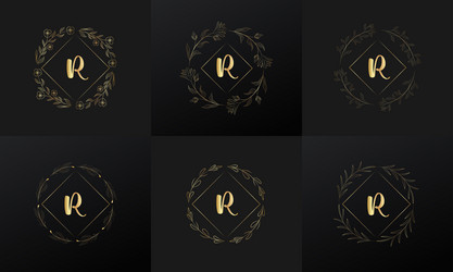 Luxury logo design collection for branding Vector Image