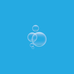 Realistic Bubble Royalty Free Vector Image Vectorstock