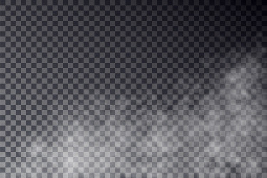Transparent mist frame effect isolated on d Vector Image